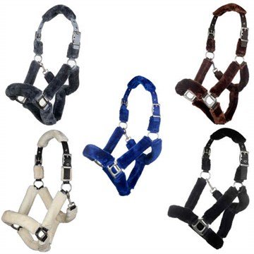 Grime Well Style med Teddy lam